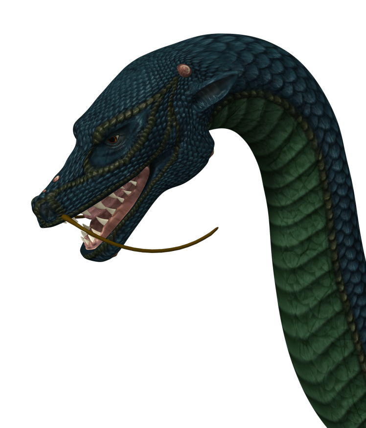 Greek Mythology: Ladon, Guardian of The Golden Apples – stacy benedict