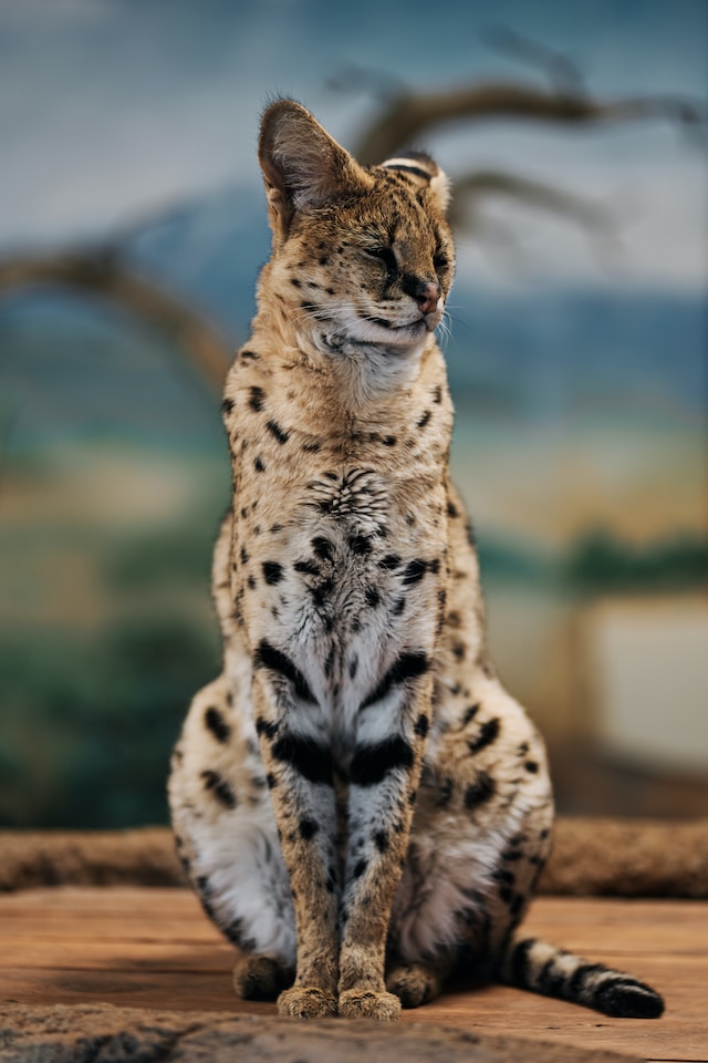 The Top Five Worst TV Dads in History: Examining Their Faults – stacy benedict